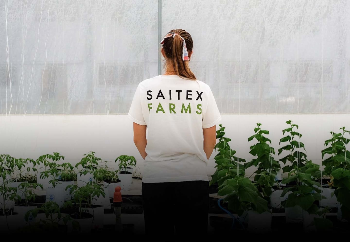 Farms - SAITEX International