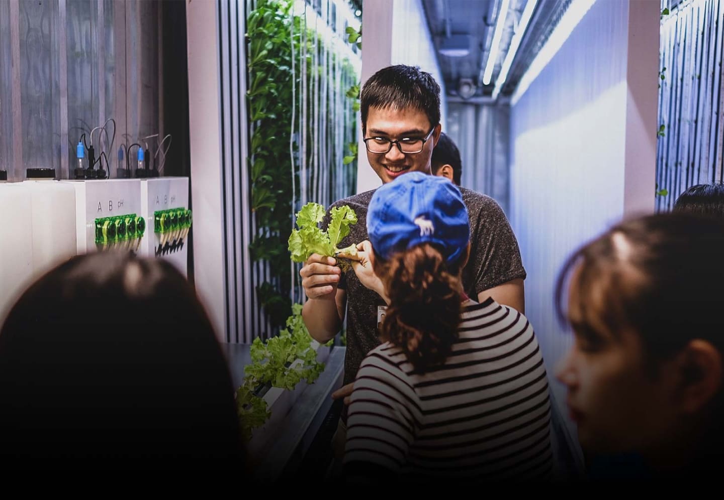 Farms - SAITEX International